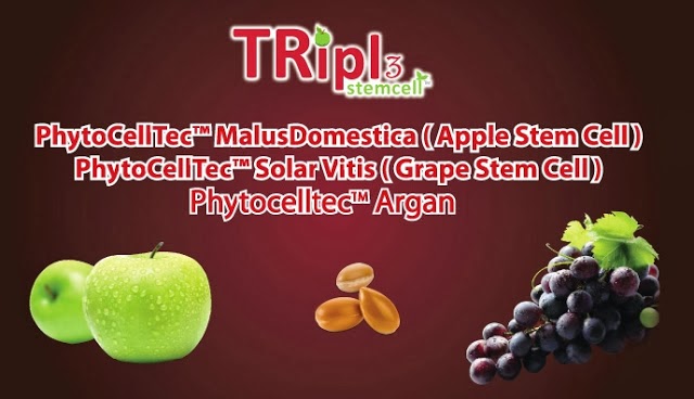 Phyto Science Indonesia Triple Stem Cell: TRIPLE STEMCELLS