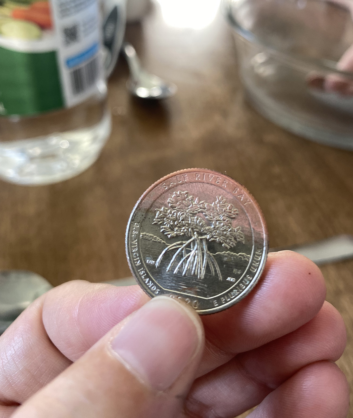 A school of fish: 2021