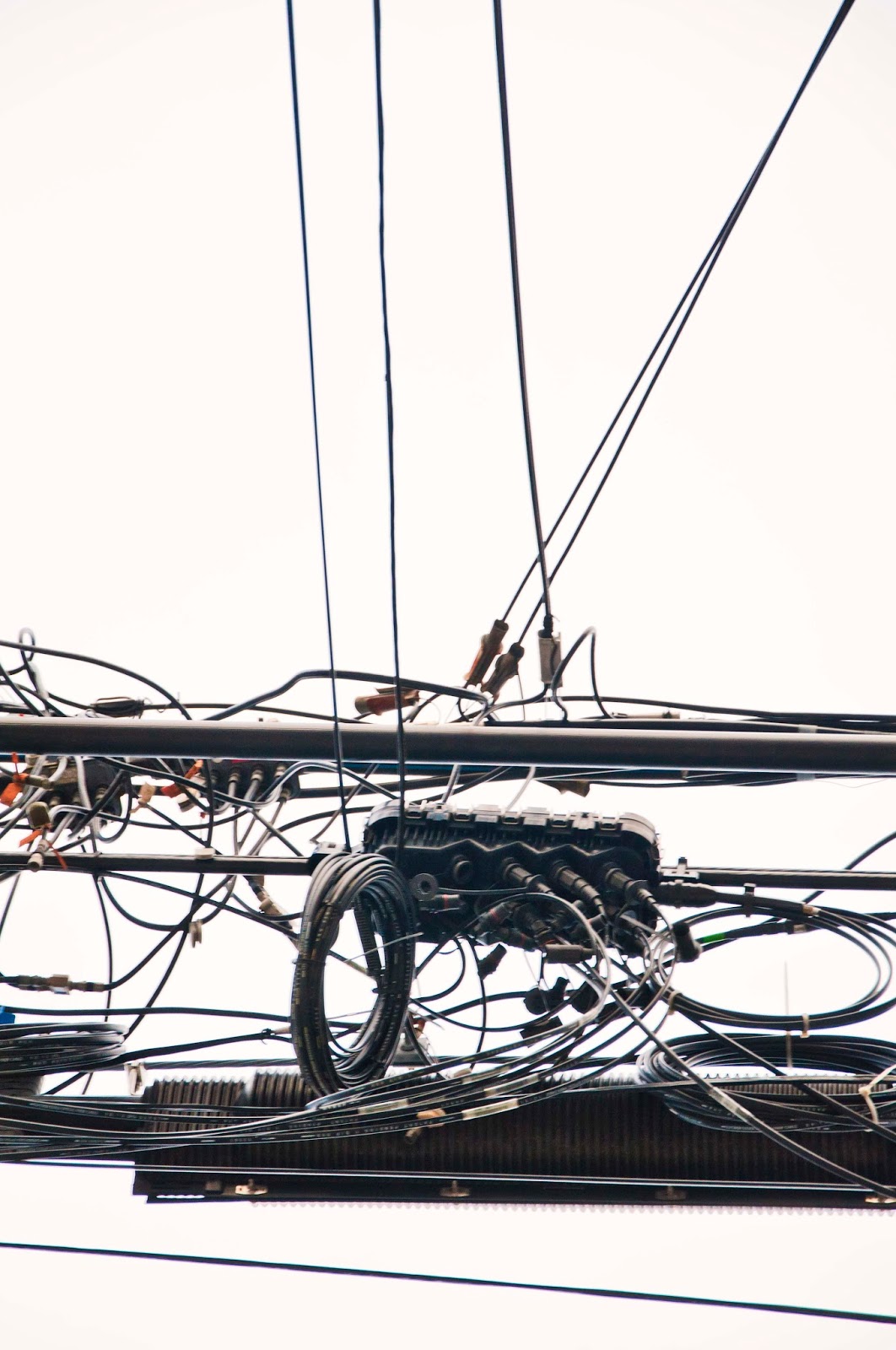 Photography: Wired - Jane Through the Seasons by Jane A. Odartey