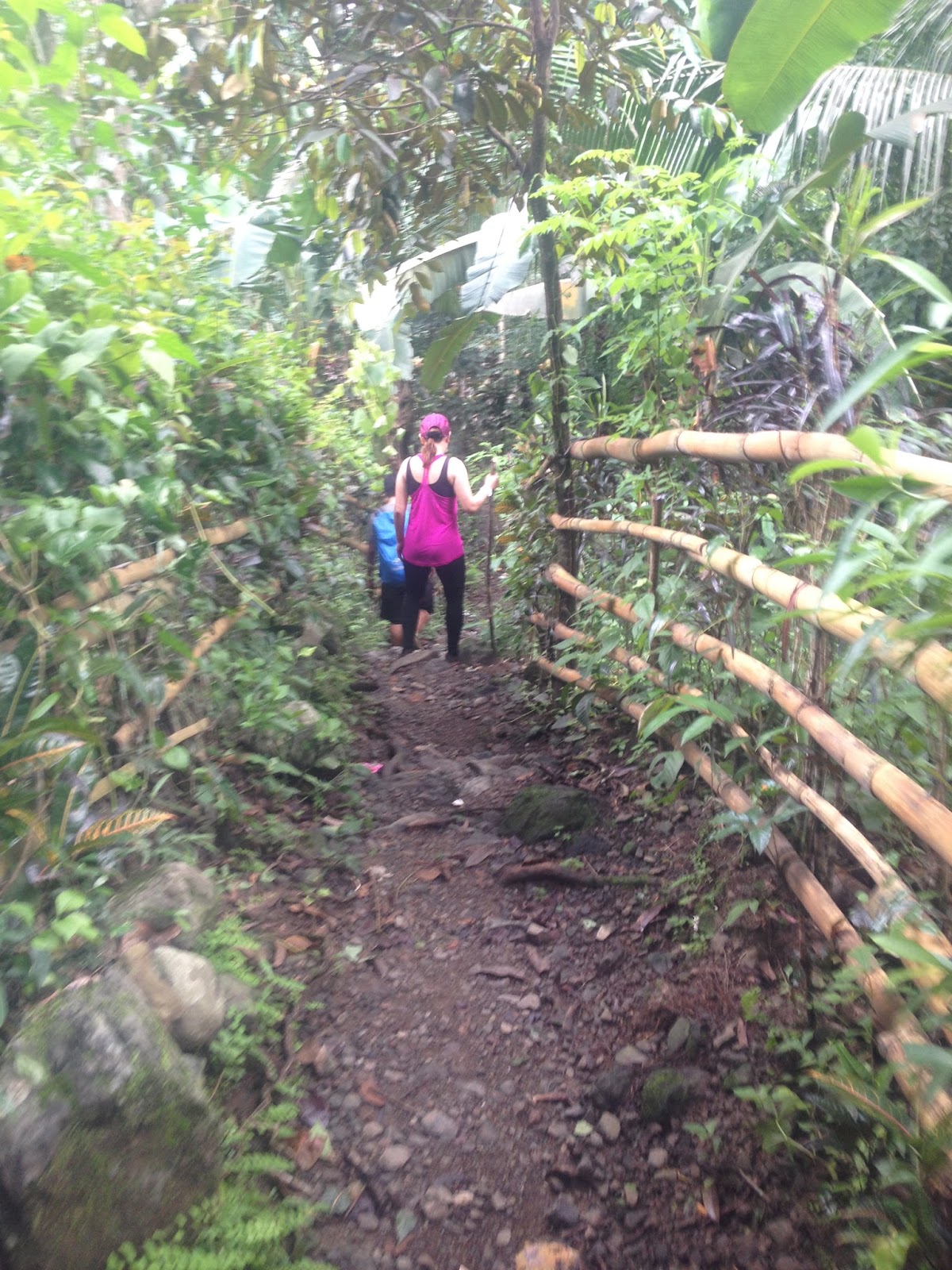 Skookum Mountaineers: Mt. Parawagan (Traverse) - A mountain in Wawa ...