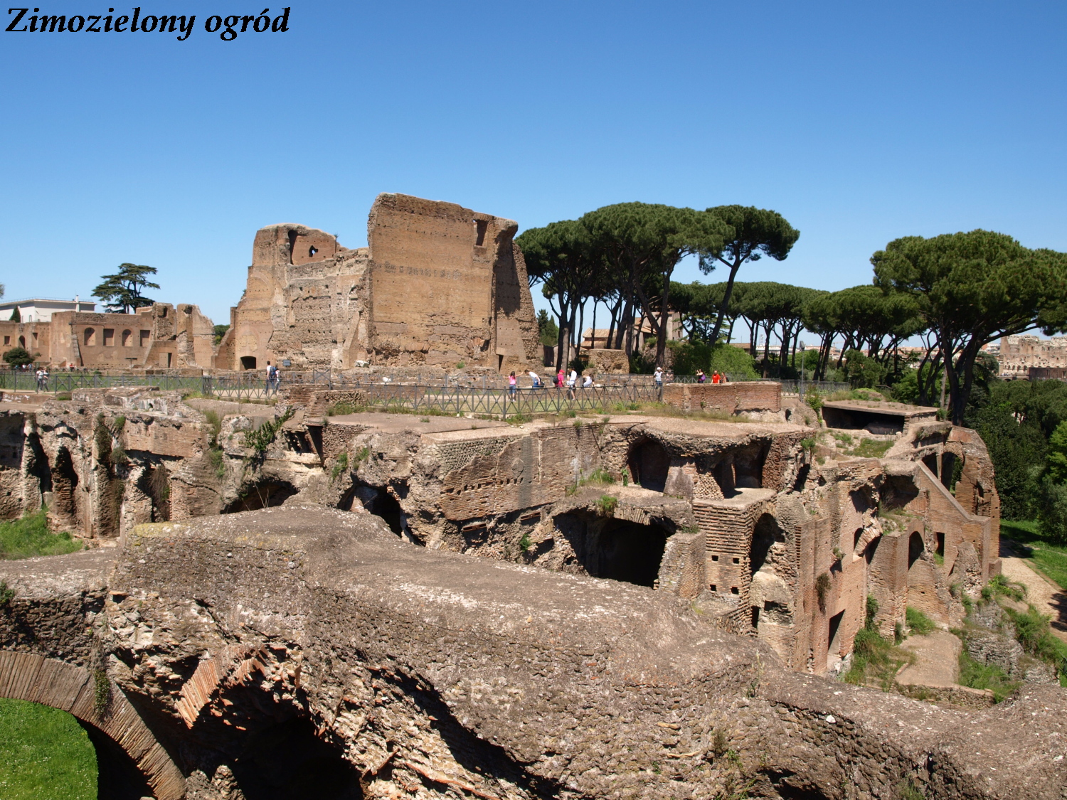 Zimozielony ogród: Rzym - Palatyn