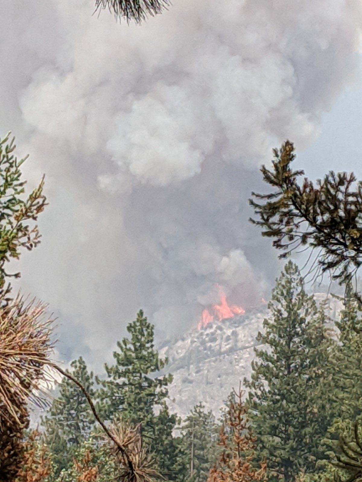 Pennsylvania Forest Fire Protection: 2020