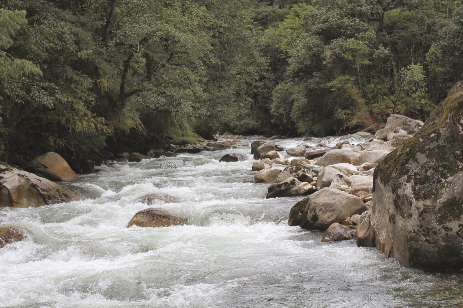 Experiences of the Enigmatic North East