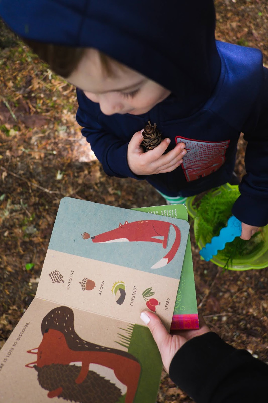 Domestic Fashionista: The Great Outdoors: Preschool Lesson Plan