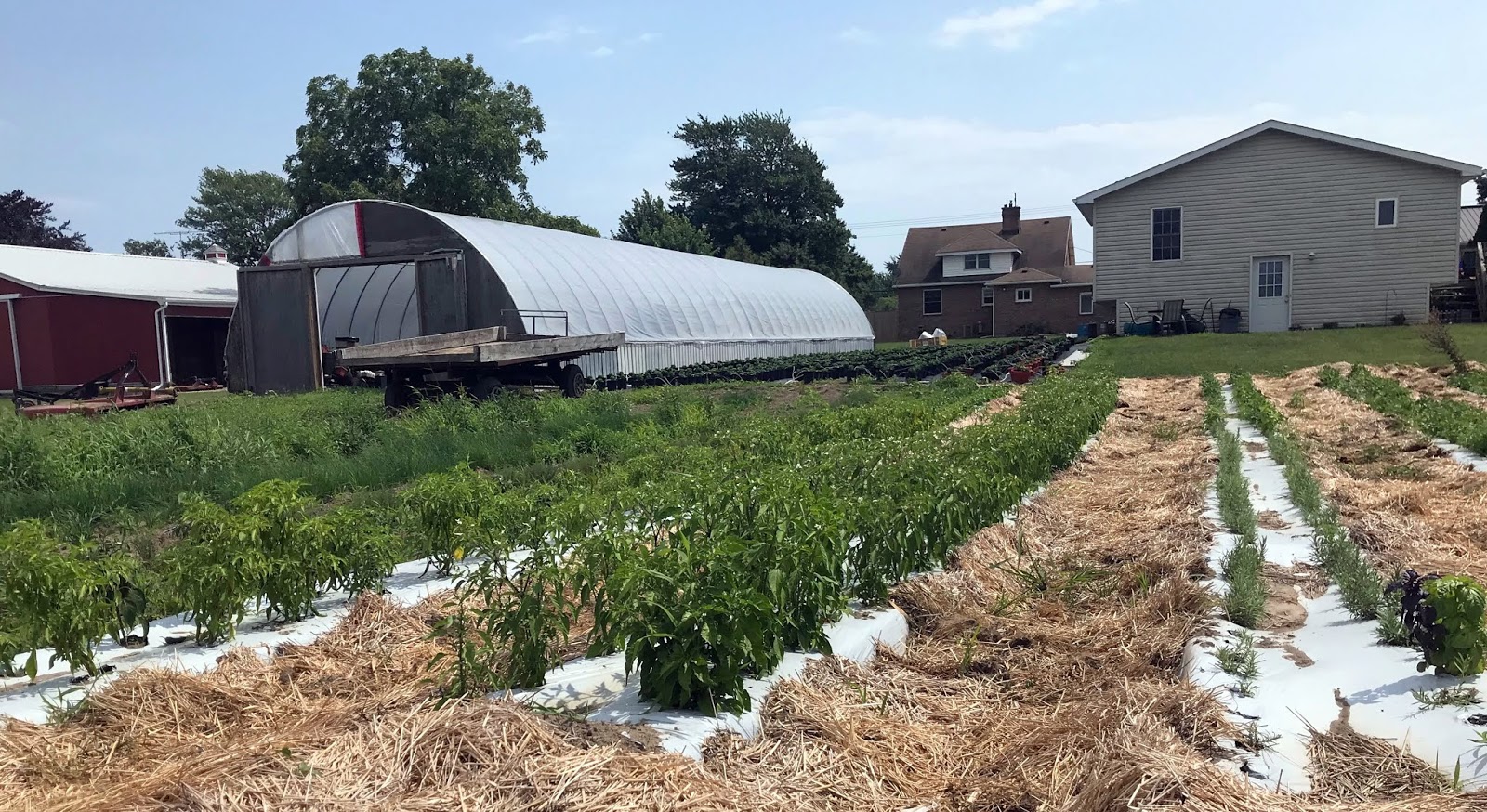 Create With Mom: Stepping back to the past, farming, and family ...