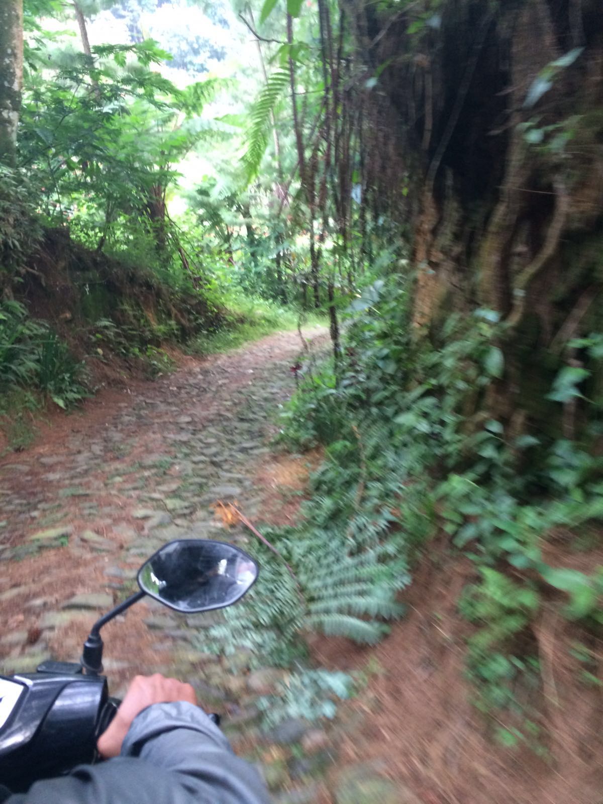 Curug Panjang dan Curug Bulao : Wisata Alternatif di Puncak Bogor