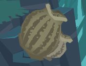 Animal Jam Rapids ~by Trickertreee: Journey Book Guide (Ocean)