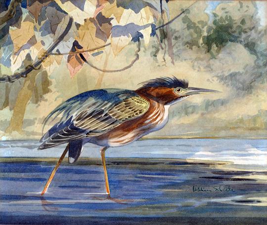 La Edad de Oro de los reptiles, 1950-1960