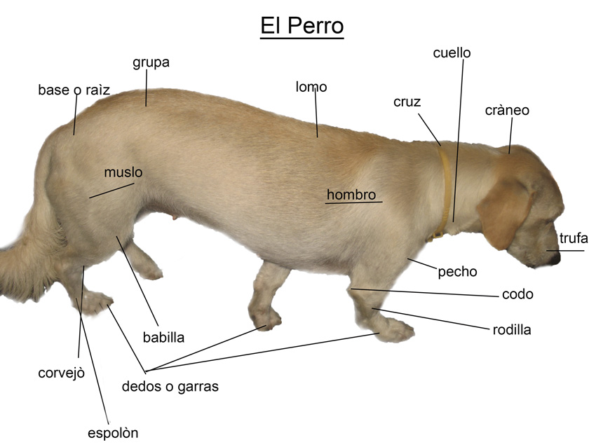 Fotografía y artículos: octubre 2015