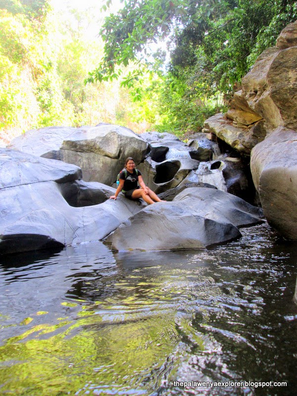 OLANGUAN FALLS | The Palaweña Explorer