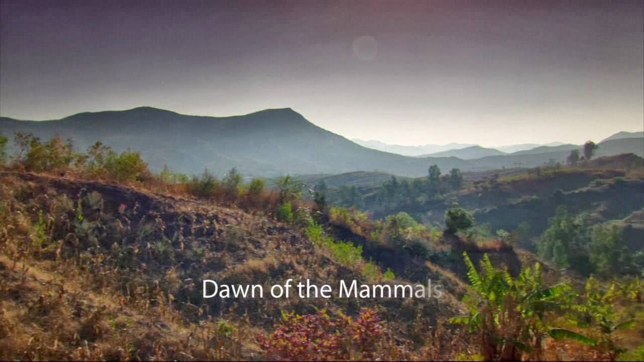 Discovery Blog: Documentários BBC: David Attenborough's Rise of Animals ...