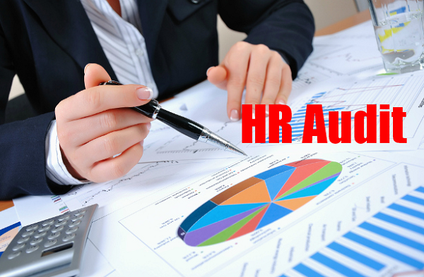 To learn more about Samarpak HR Audit and other services, contact us