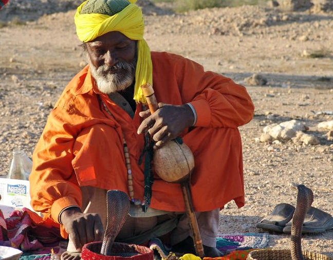 Snakes in Pakistani Folklore