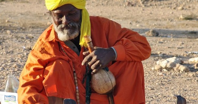 Snakes in Pakistani Folklore