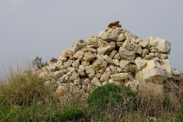 The tumuli field of Ramat haNadiv