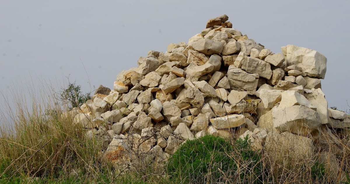 The tumuli field of Ramat haNadiv