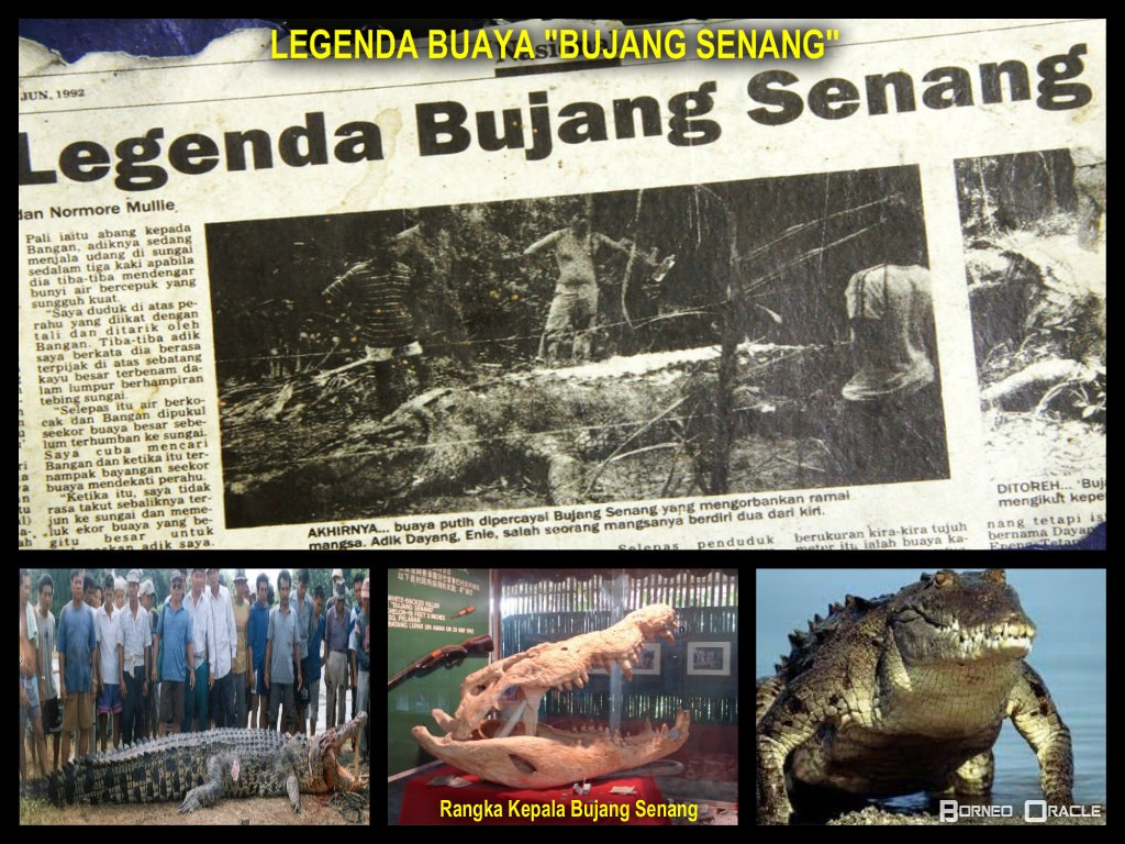 ! teratak anak kampung !: LAGENDA BUAYA BUJANG SENANG