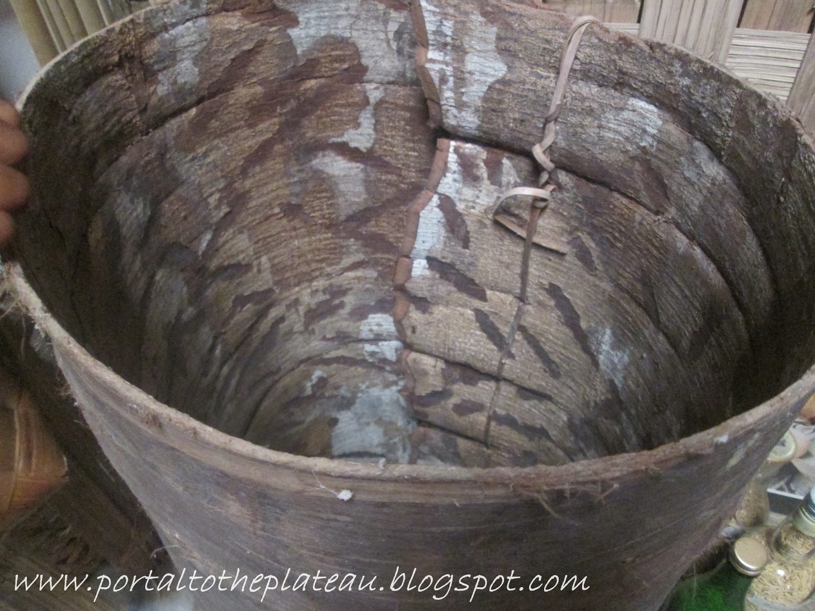 Portal to the Plateau: Large Native Containers