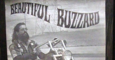 California-Garage: Beautiful Buzzard.