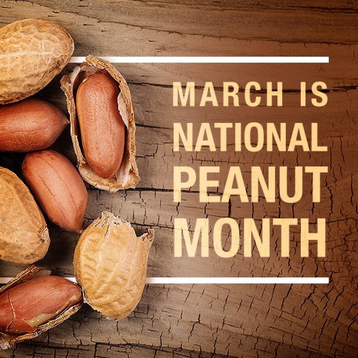 The Last Leaf Gardener: National Peanut Month 2021