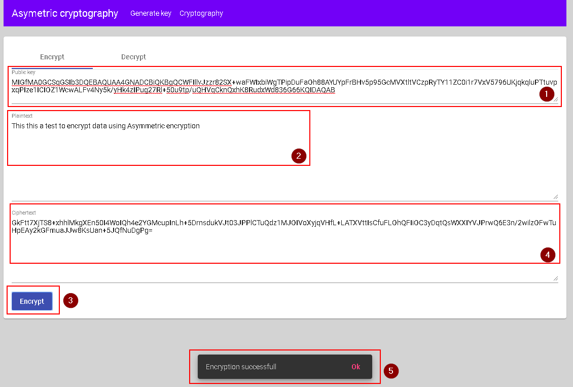Asymmetric Cryptography Using Angular 9 And Web Api