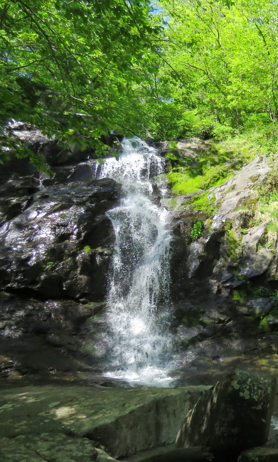 Where's Liz? 2015: Loft Mountain and Jones Run Falls, Shenandoah ...