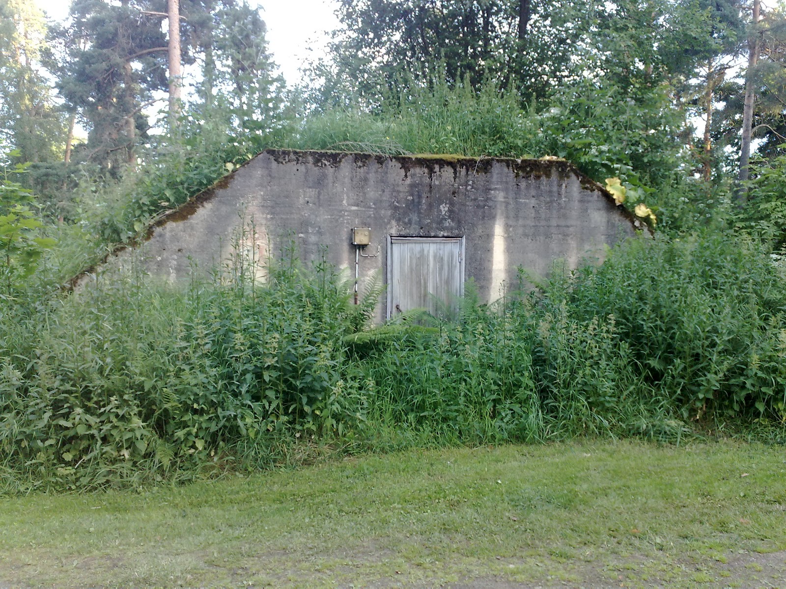 Kouvolalainen valokuvablogi: Kellari...