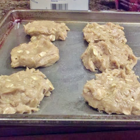 Geez, Louise: Not-cookie cookies