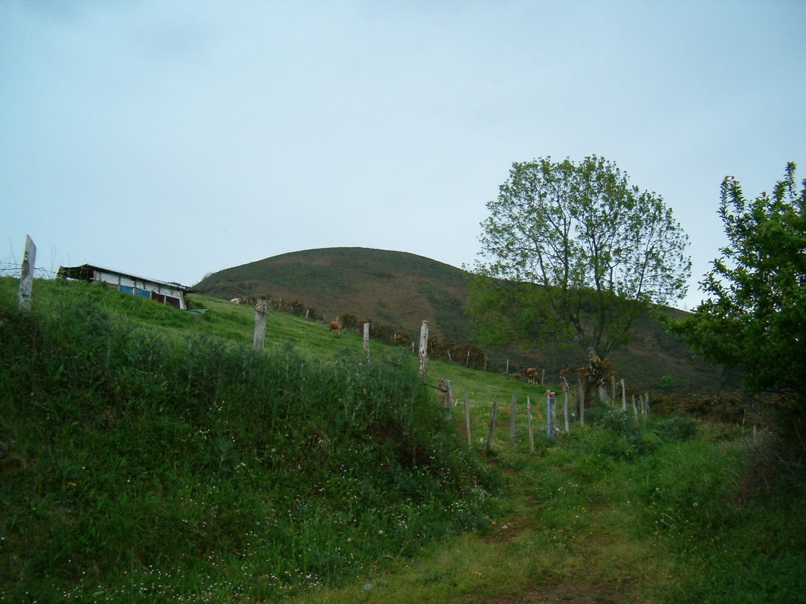 Camudando'l camín: Tueya (Xixón) - Picu'l Sol - Picu Samartín - El Xigal