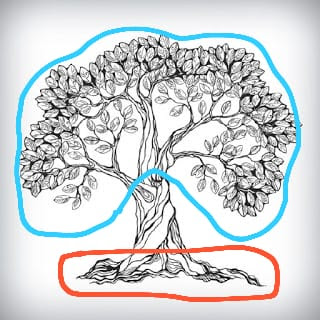 baum tes dan contoh laporan baum