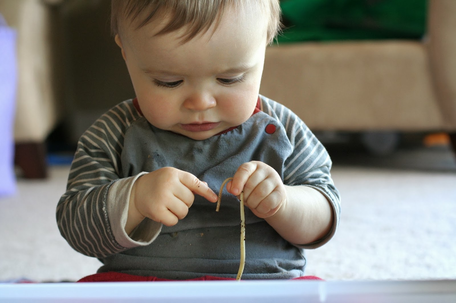 Super Easy Sensory Play: Dirt and Worms