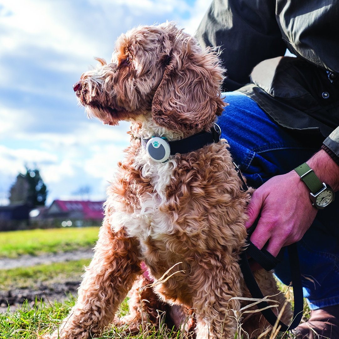 Best 18 Christmas Gifts For Dog Lovers Australian Dog Lover best-18-christmas-gifts-for-dog-lovers-australian-dog-lover
