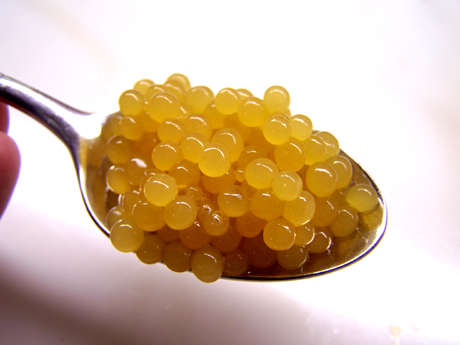 Food For Thought: A Crash Course in Molecular Gastronomy