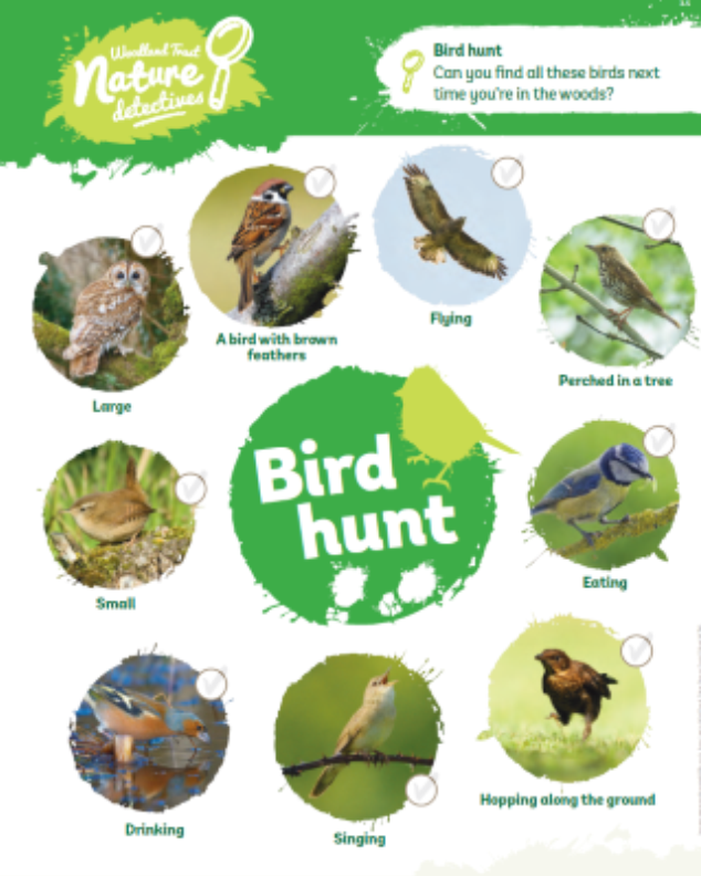 We're going on a bird hunt...