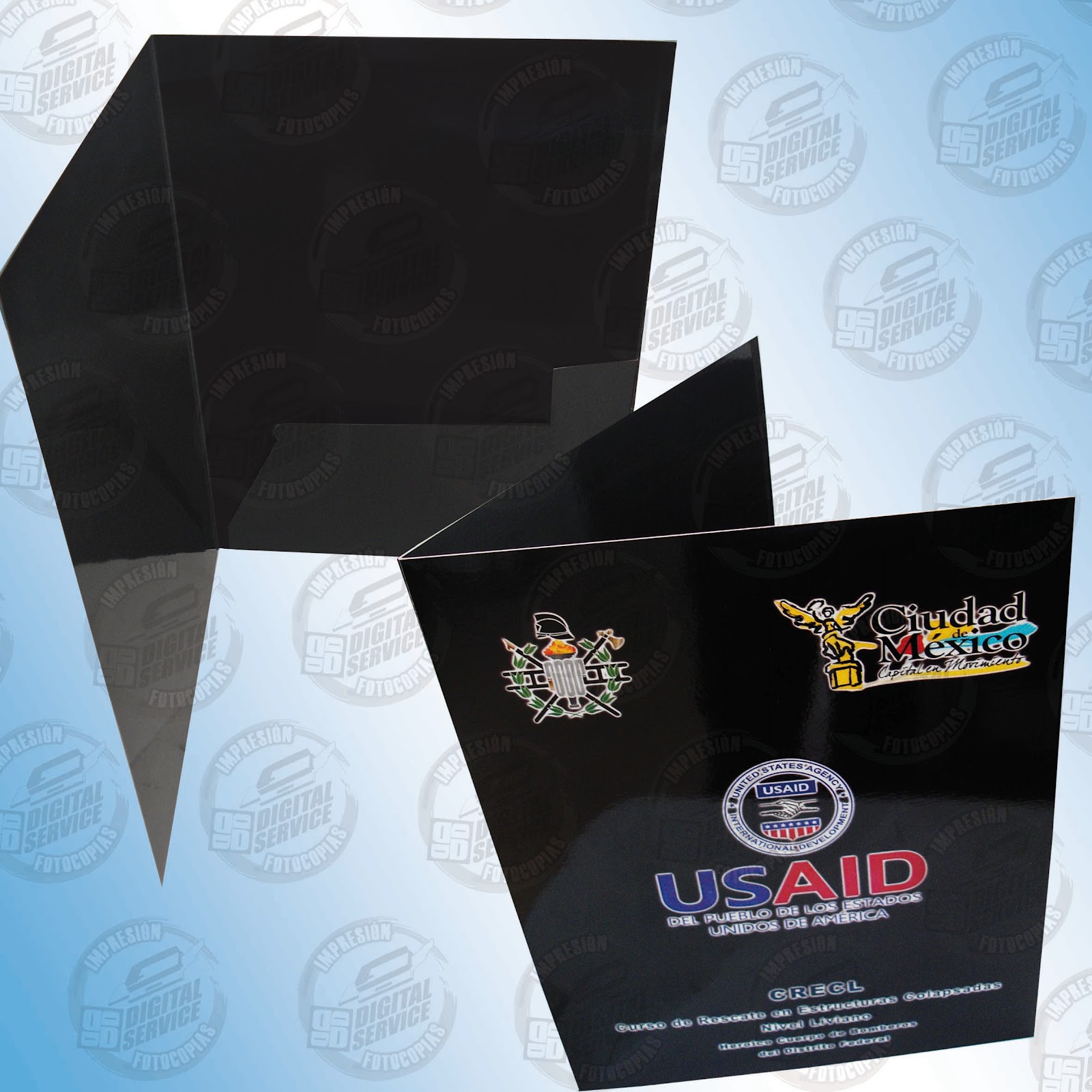 Impresión 24 horas y trabajos urgentes: FOLDERS NEGROS