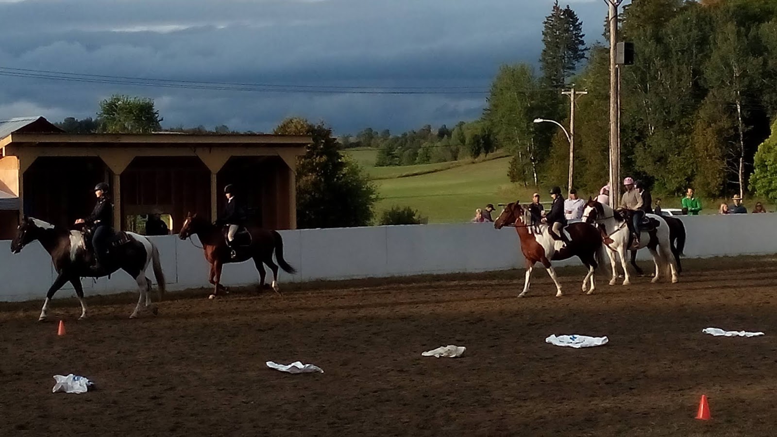 Sooo-this-is-me: Chicks dig horses.