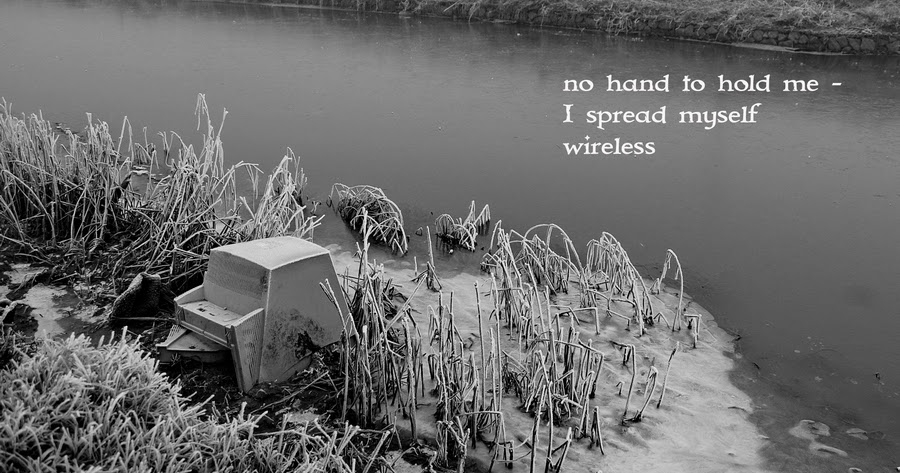 Photo-haiku: NHK WORLD - HAIKU MASTERS MARCH 2018