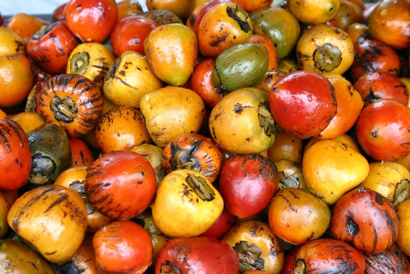 Gastronomía a Libreta Abierta, [=I=]: Pejibaye