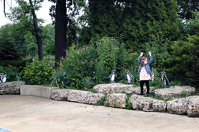 Bubby and Bean ::: Living Creatively: Our Day at the Zoo: Finding New ...