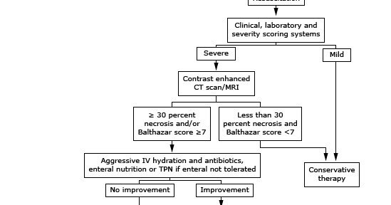 Management Algorithm for Severe Acute Pancreatitis.