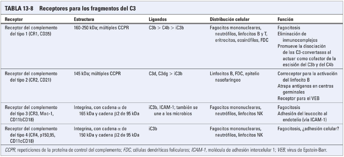 El sistema del complemento: Receptores del complemento