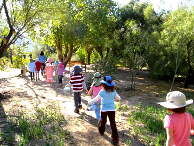 Nature as a big idea: Nature Walks and Scavenger Hunts
