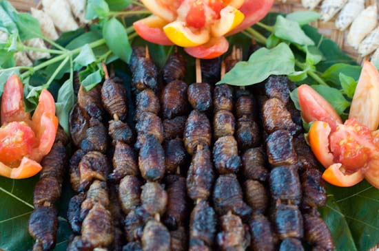 Kuliner Khas Raja Ampat