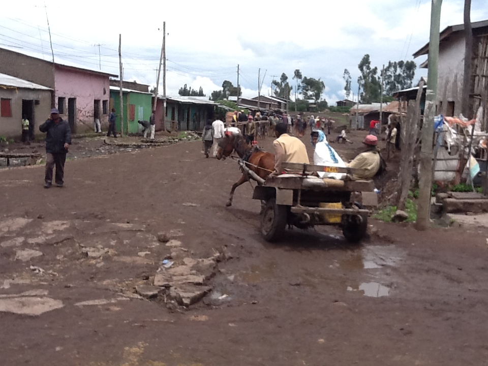 DEXTER IN ETHIOPIA: Images from life in Iteya, Ethiopia