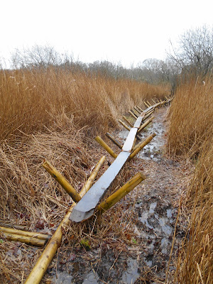 Off the Beaten Track in Somerset: The Sweet Track and other Ancient ...