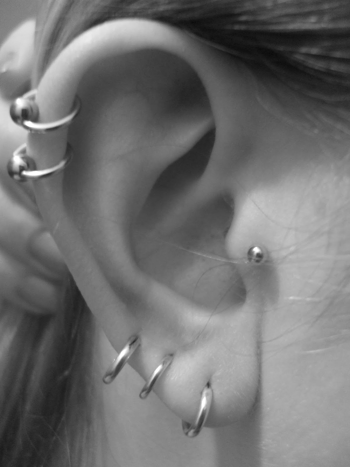Zangolotina Image: Ear-Piercing INSPIRATION