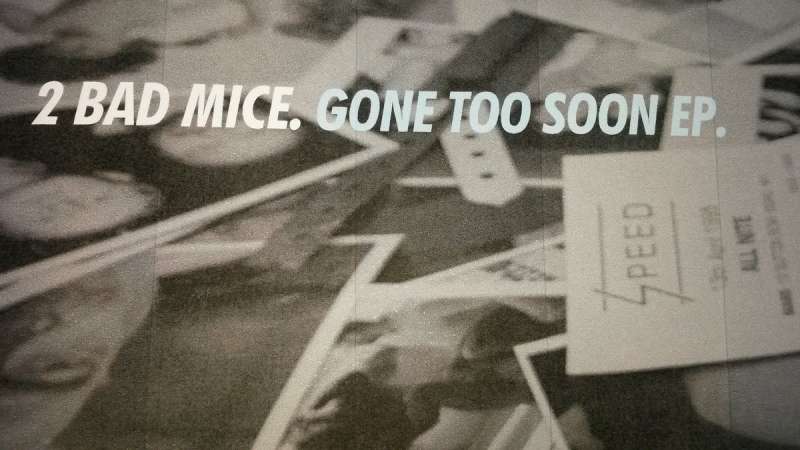 Strictly Nuskool Blog: 2 Bad Mice - Gone Too Soon EP. (DJ Faydz Promo)