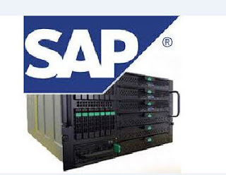 SAP implementation Step by Step: SAP hardware sizing/requirements and ...