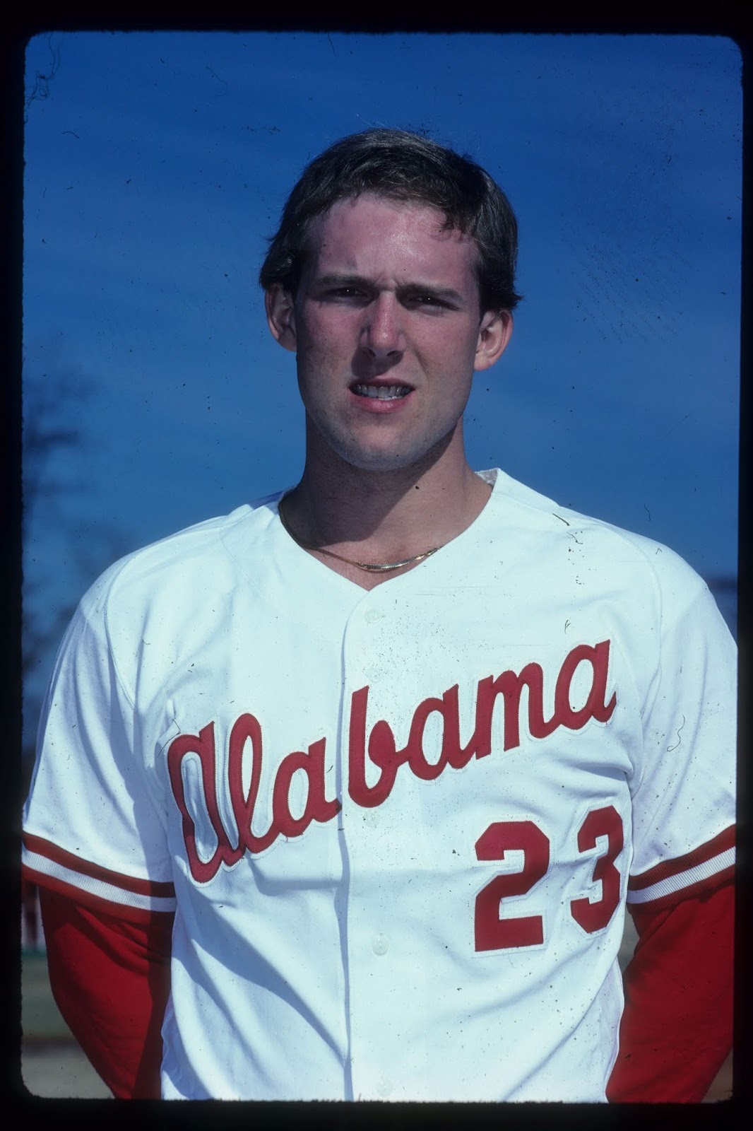 Dispatches from the LP-OP: April 2019