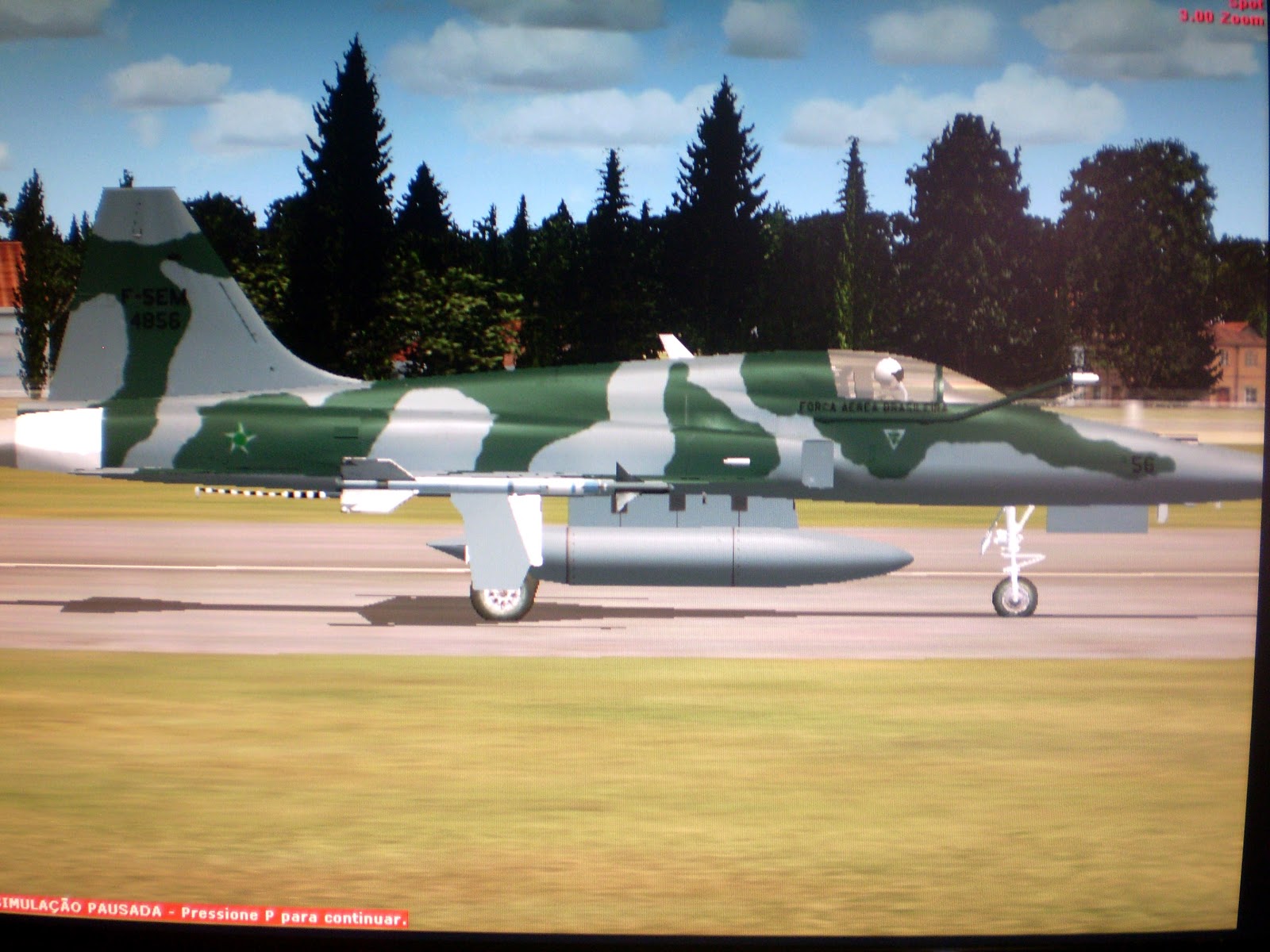 Top Gun FS: F-5EM FAB 4856 - Exclusivo com painel foto realístico ...